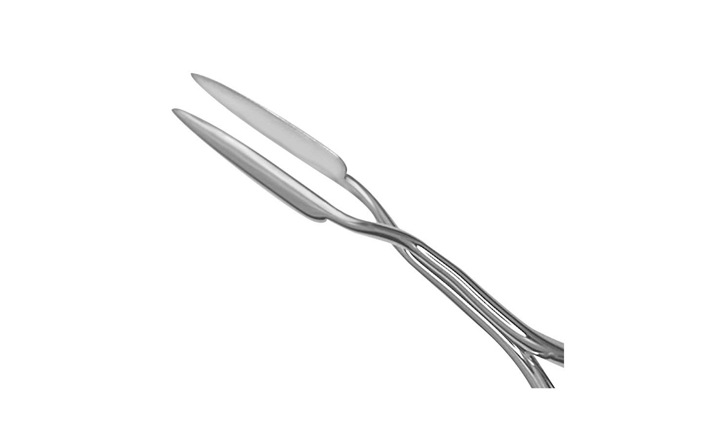 Akahoshi Phaco Prechopper