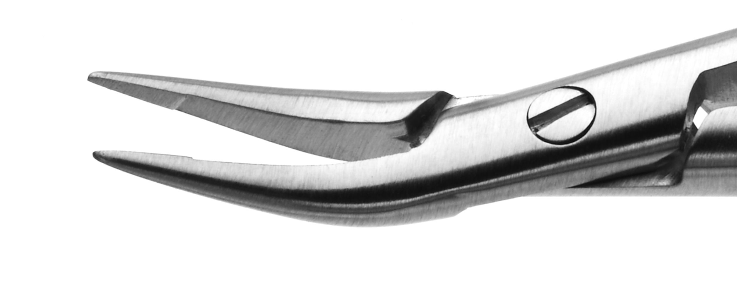 ASICO Cilia Forceps